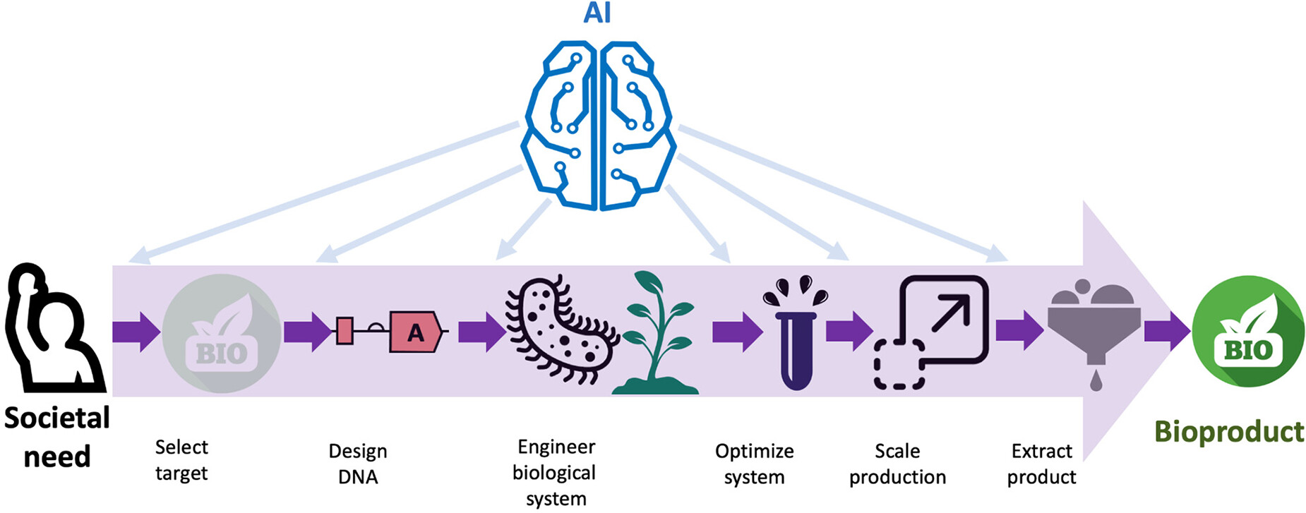 Stas Co-Edited a Special Issue in ACS Synthetic Biology | Protein ...